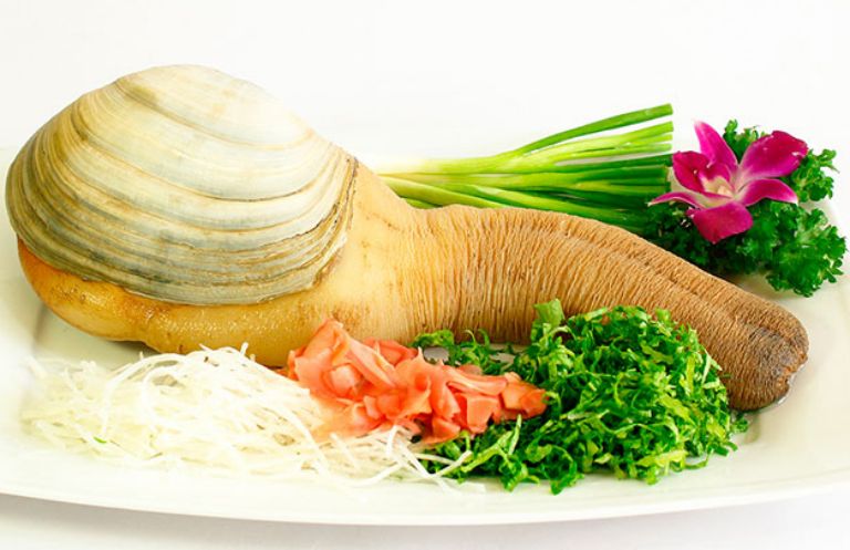 Top Món Ngon Chế Biến Từ Ốc Vòi Voi Ngon Khó Cưỡng